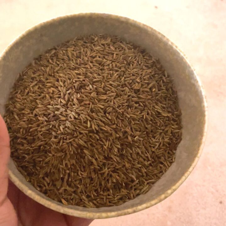 How to make Roasted Ground Cumin (Bhuna Zeera) - Mirchi Tales